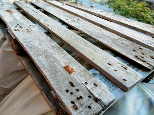 The Superior Choice for Cold Chain Logistics: Plastic Pallets from Mah ...